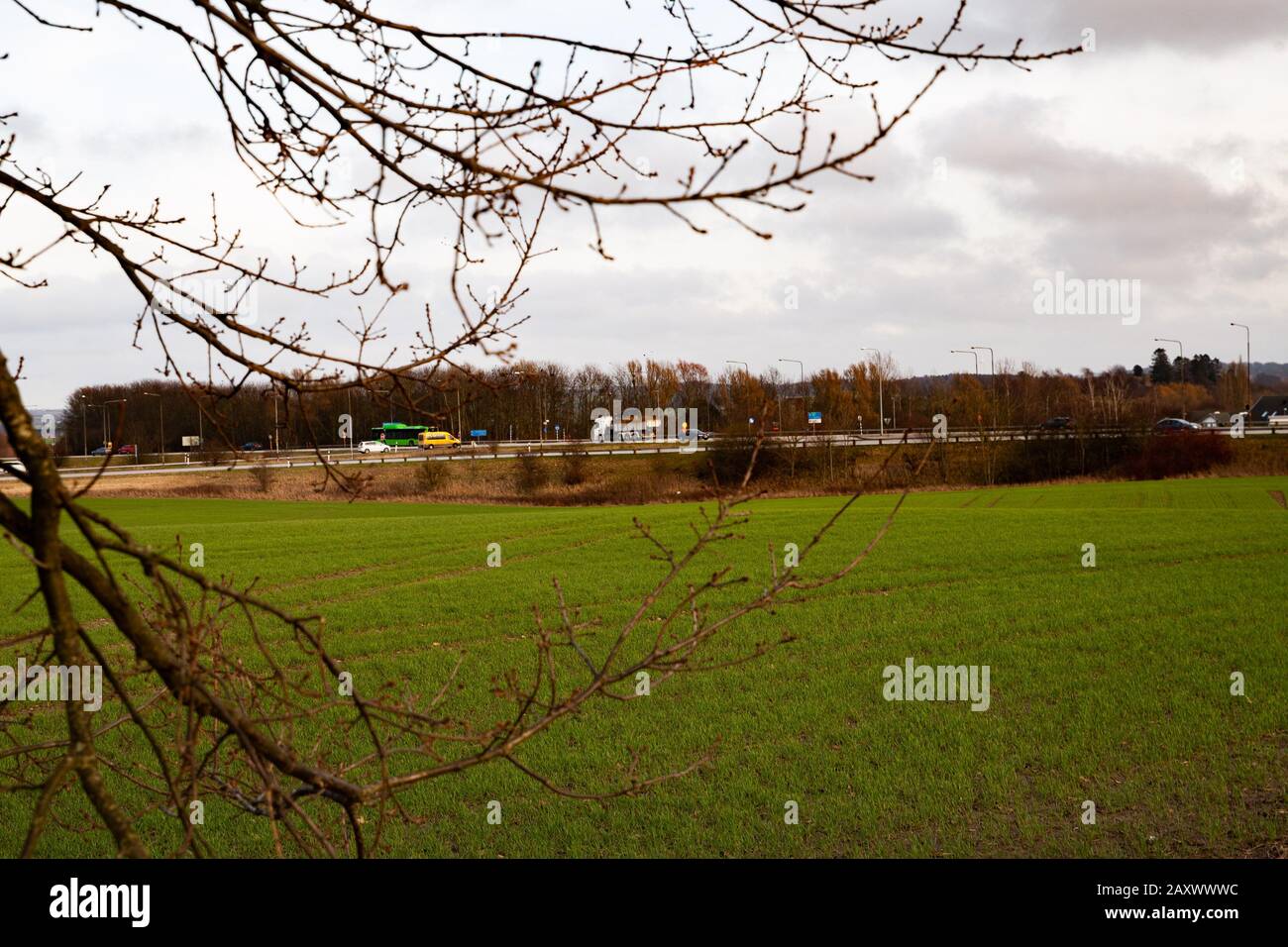 Oxie malmo hi-res stock photography and images - Alamy