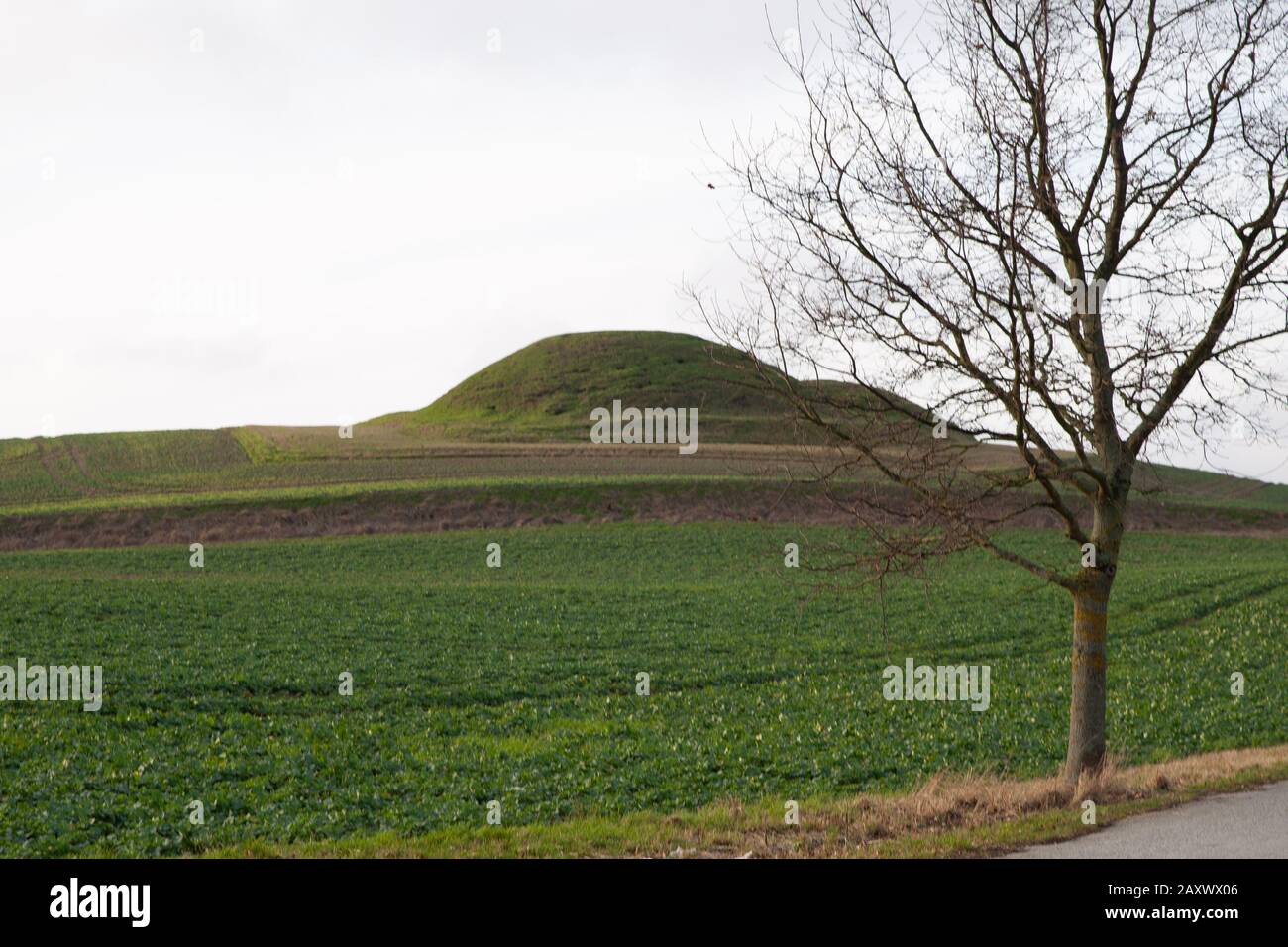 Oxie malmo hi-res stock photography and images - Alamy