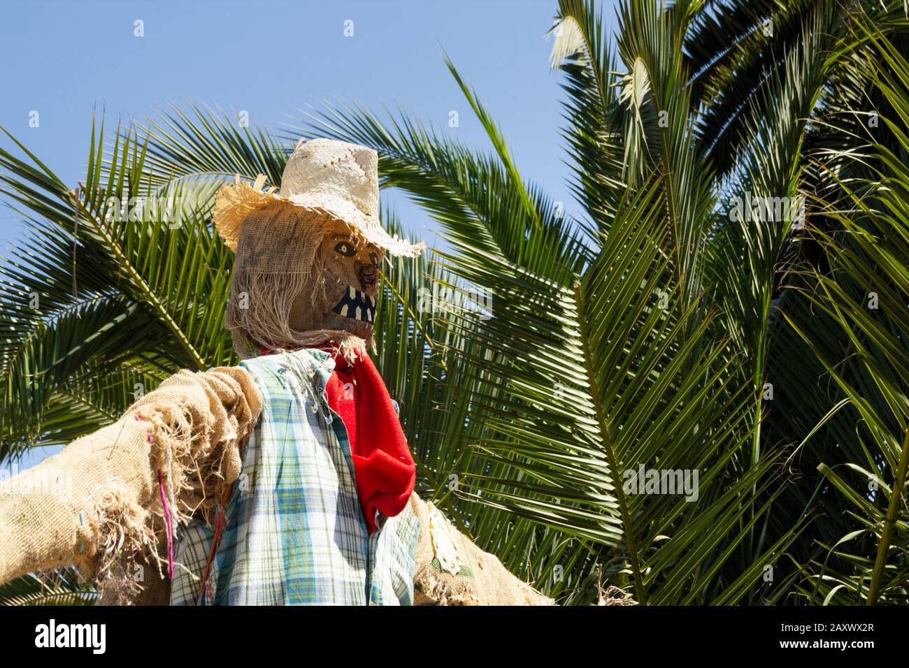 Scarecrow in field in Spain Stock Photo - Alamy