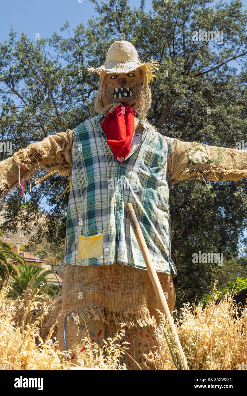 Suncatchers Outdoor & Gardening Scarecrow! etna.com.pe