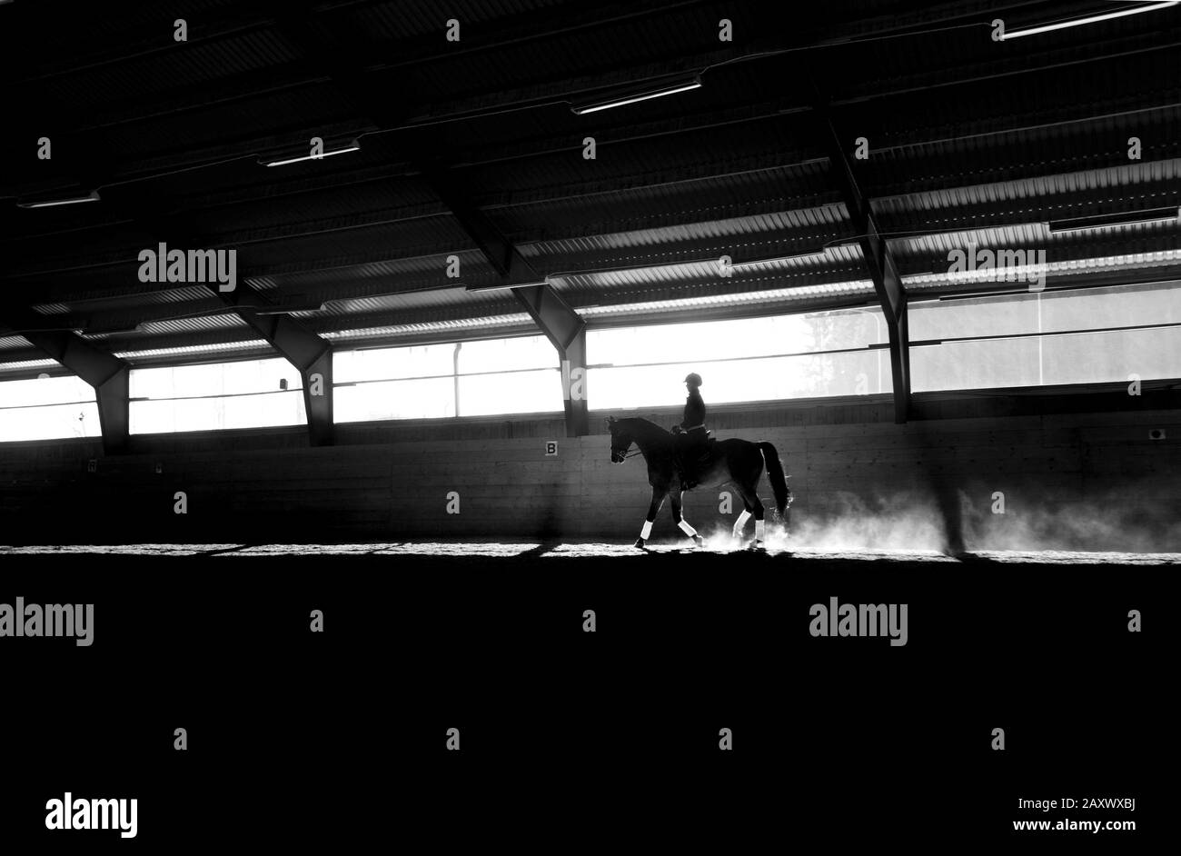 Picture woman horse Black and White Stock Photos & Images - Alamy