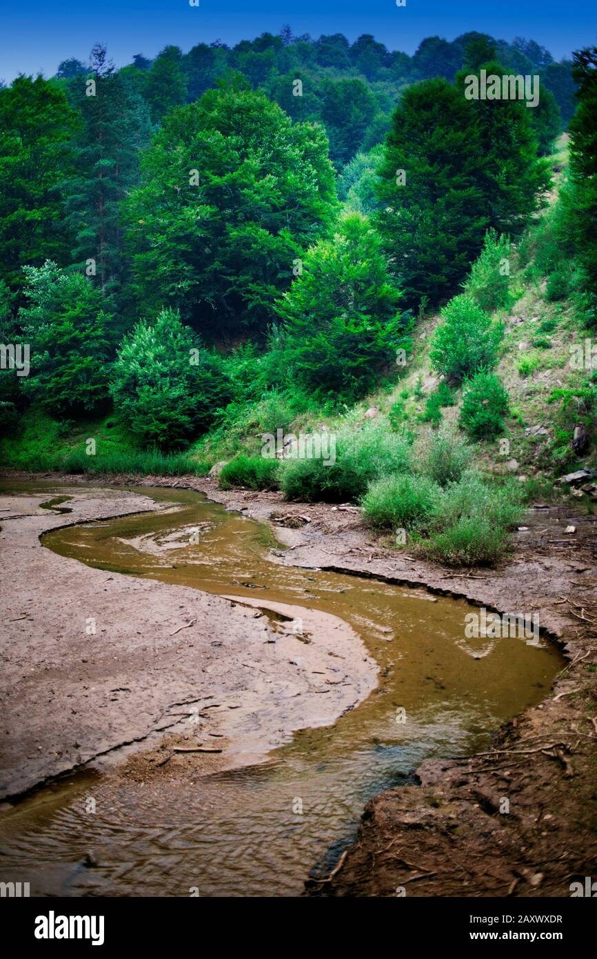 Polluted river with a forest in the background Stock Photo - Alamy