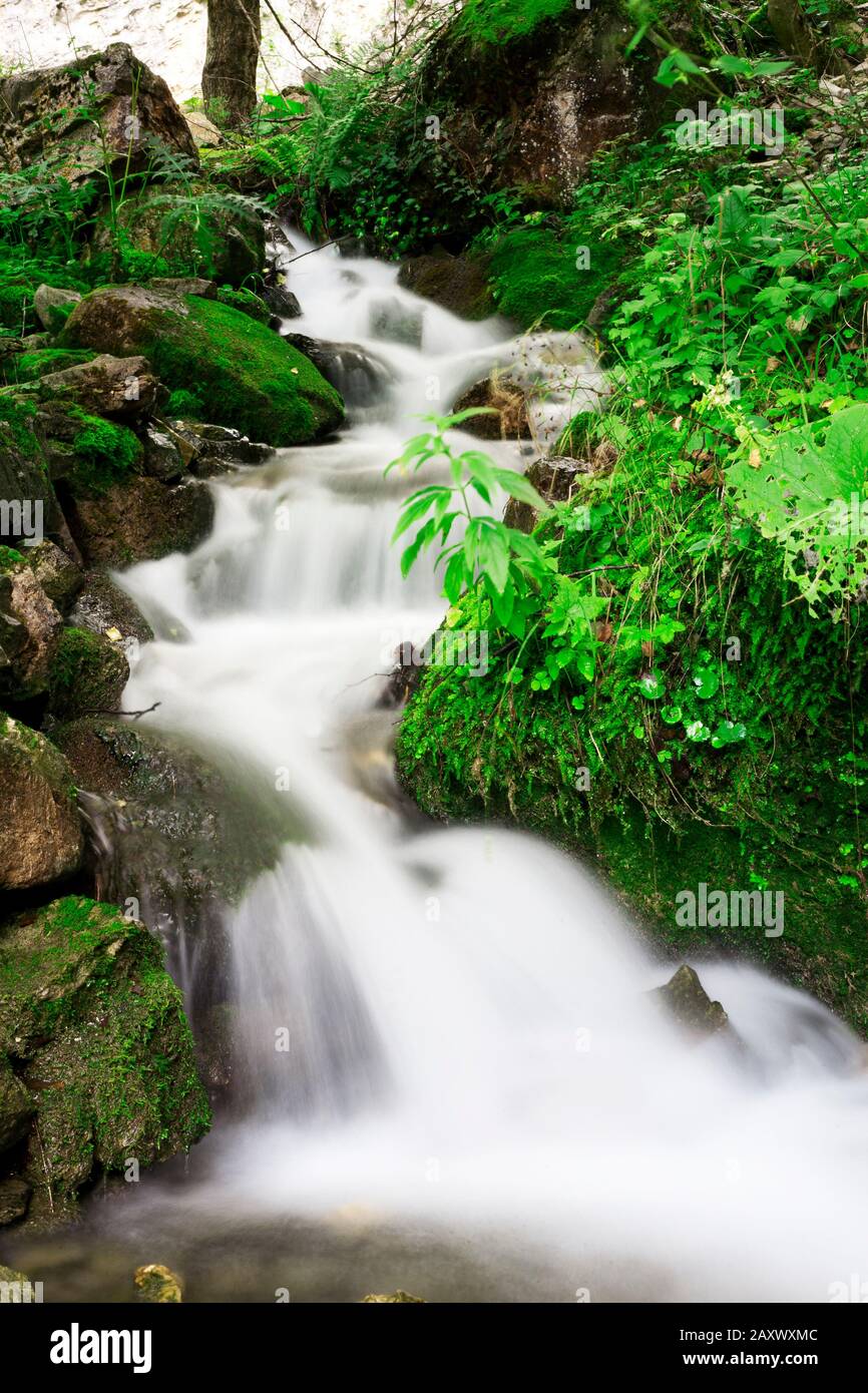 River with beautiful waterfalls in a forest in Macedonia Stock Photo ...
