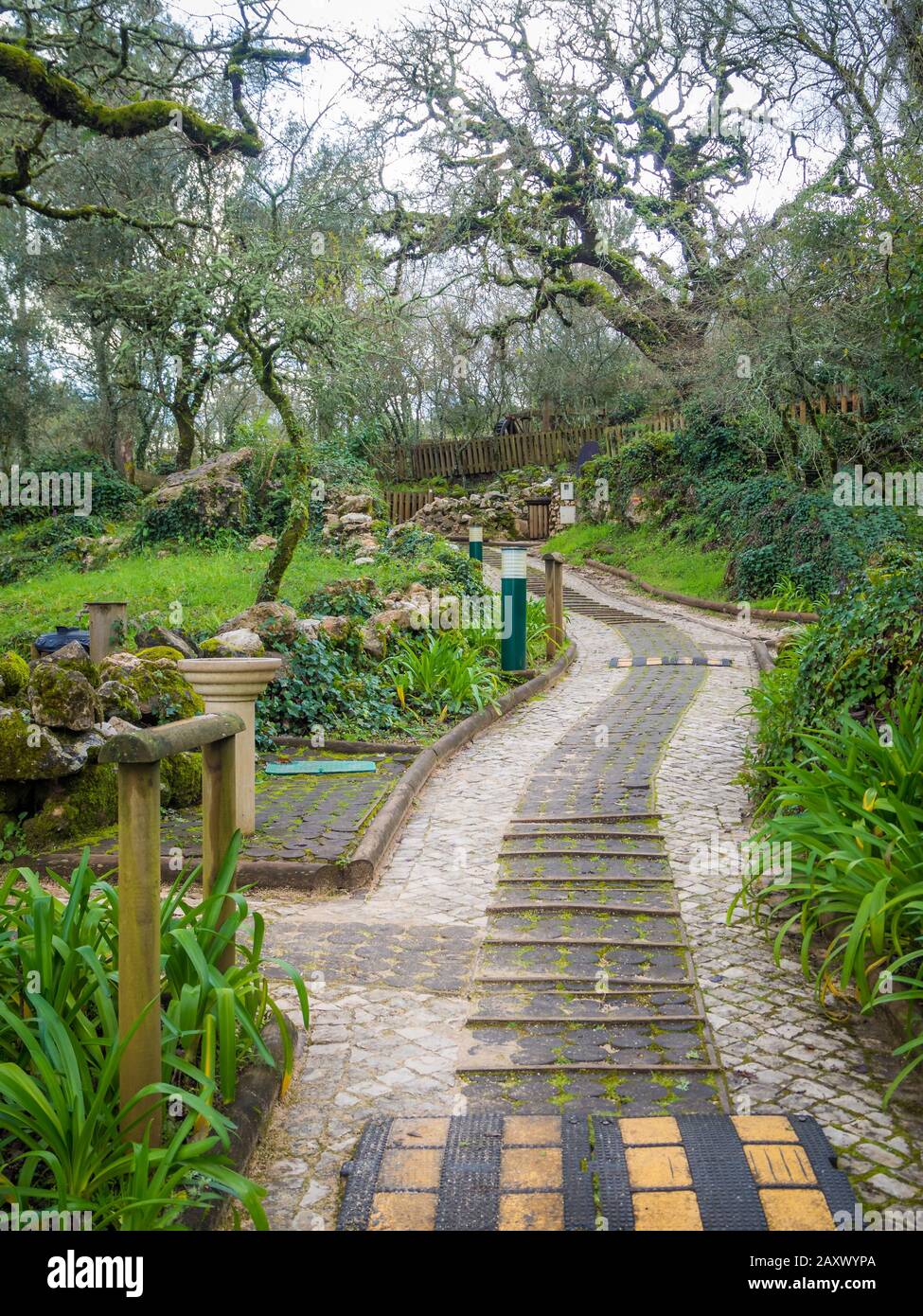 green road, Beautiful nature walking street Stock Photo - Alamy