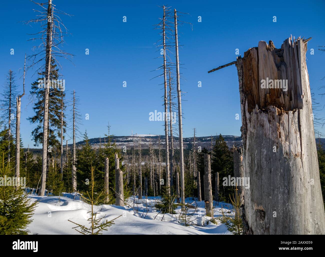 Braunlage hi-res stock photography and images - Alamy