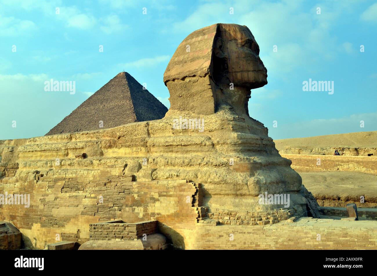 Back of sphinx egypt hi-res stock photography and images - Alamy