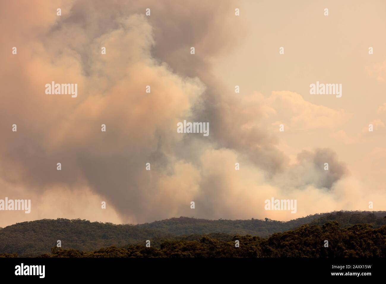 Bush fire smoke in a valley in The Blue Mountains in Australia Stock ...
