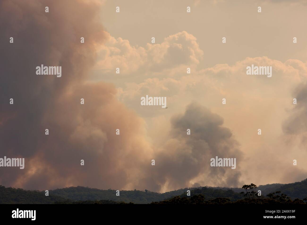Bush fire smoke in a valley in The Blue Mountains in Australia Stock ...