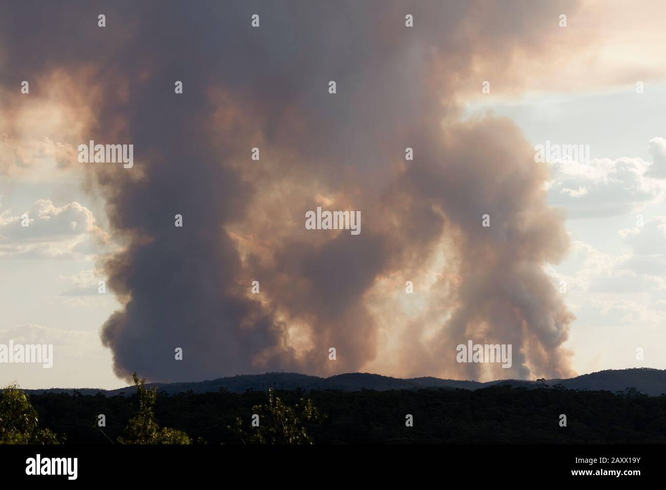 Bush fire smoke in a valley in The Blue Mountains in Australia Stock ...