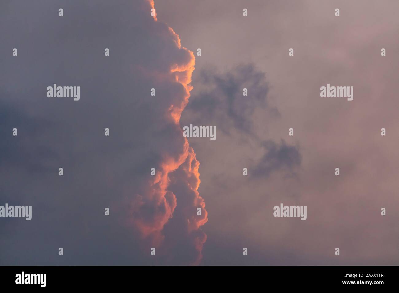 Red clouds due to bush fire smoke at sunset in The Blue Mountains in ...