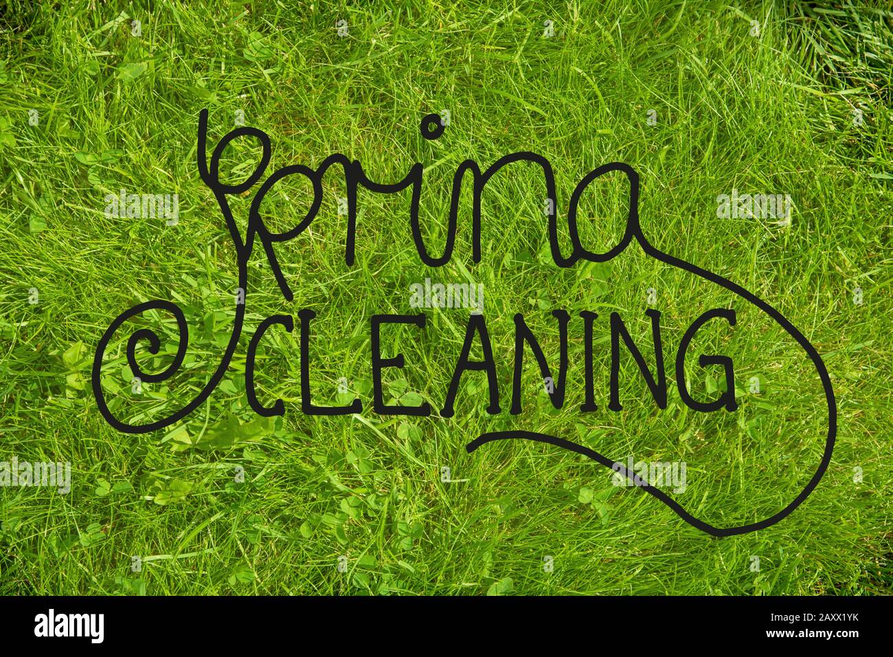 Green Grass Lawn Or Meadow, Calligraphy Spring Cleaning Stock Photo - Alamy