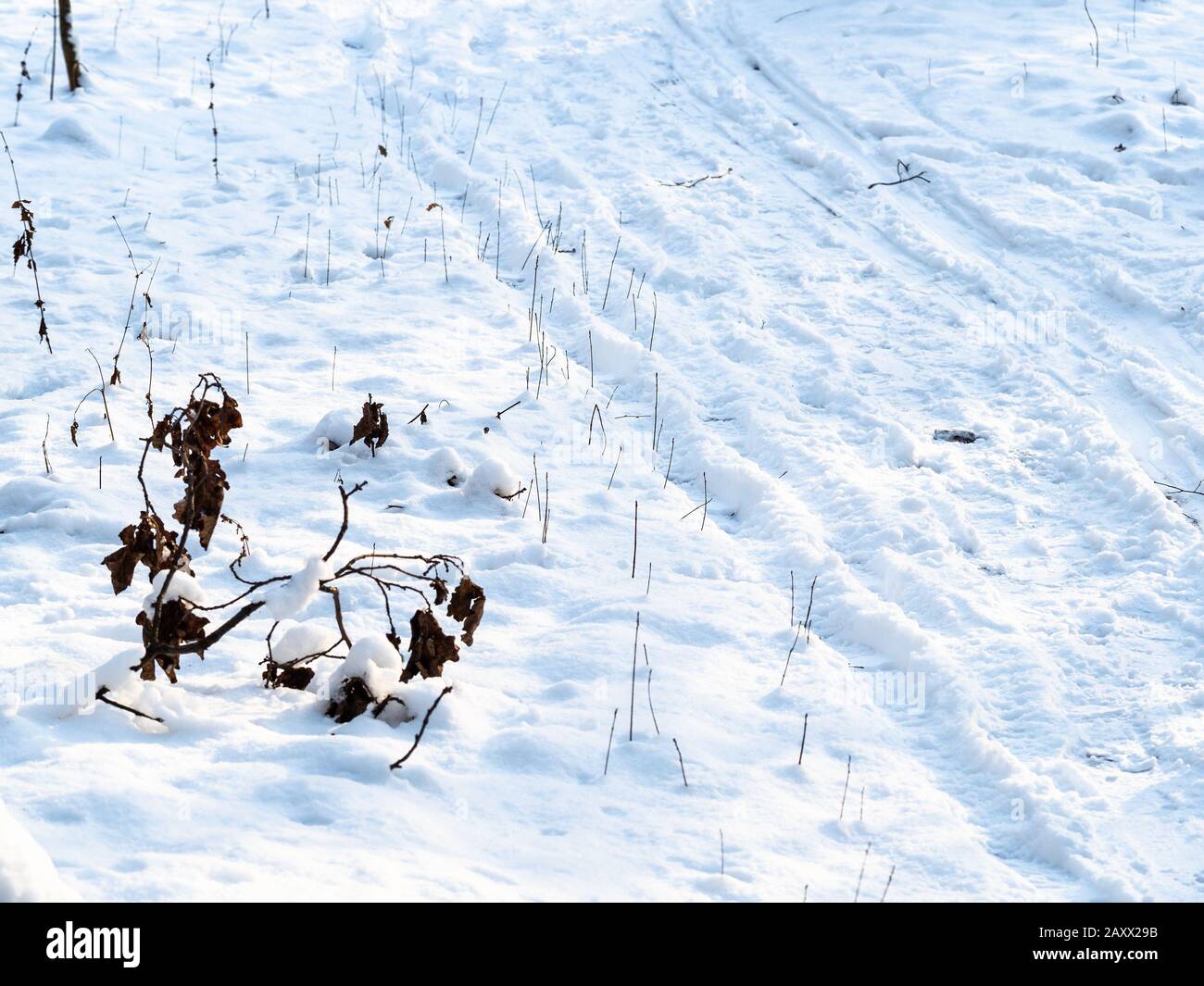 Snow path on sunny hi-res stock photography and images - Alamy