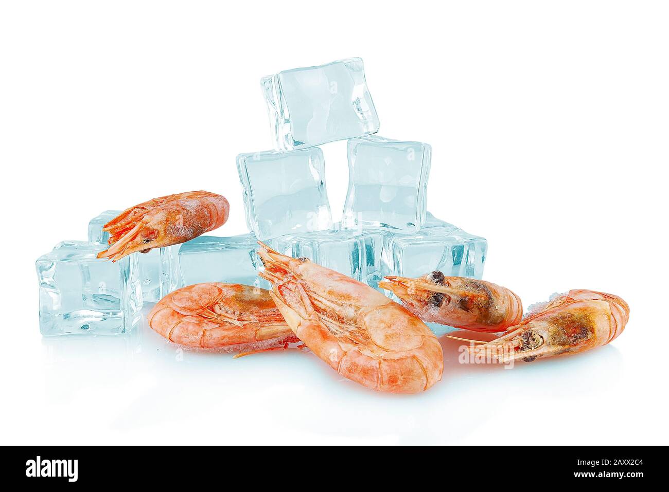 Frozen shrimp lie next to ice cubes on a white background Stock Photo ...
