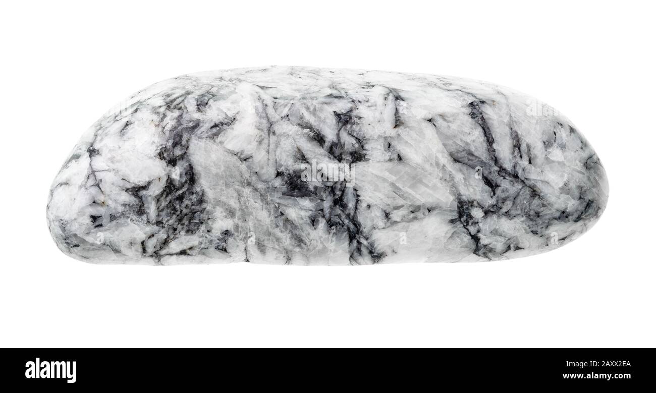 polished gray magnesite gem stone cutout on white background Stock ...