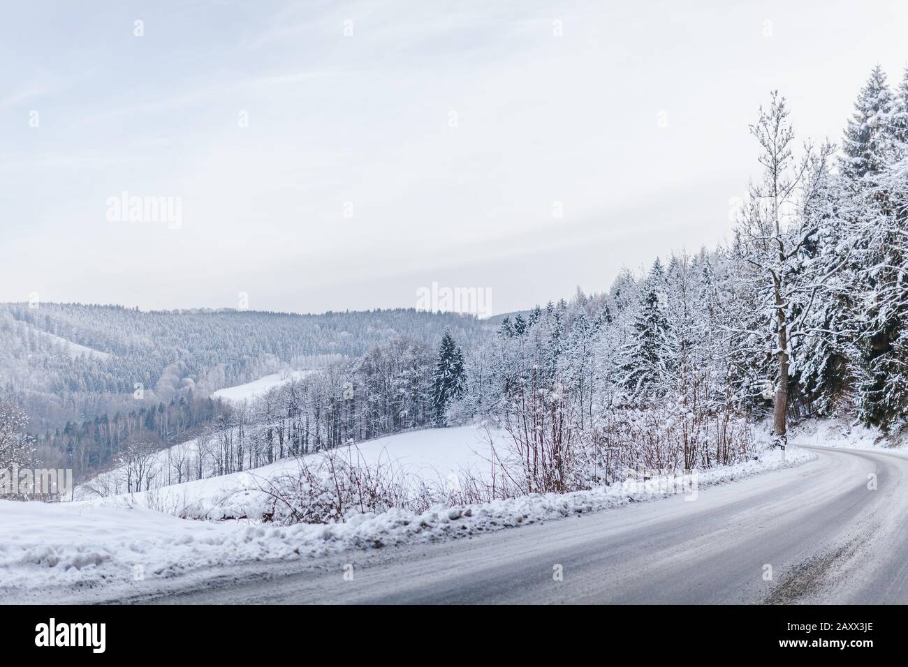 snow-covered street and a view of the forest Stock Photo - Alamy