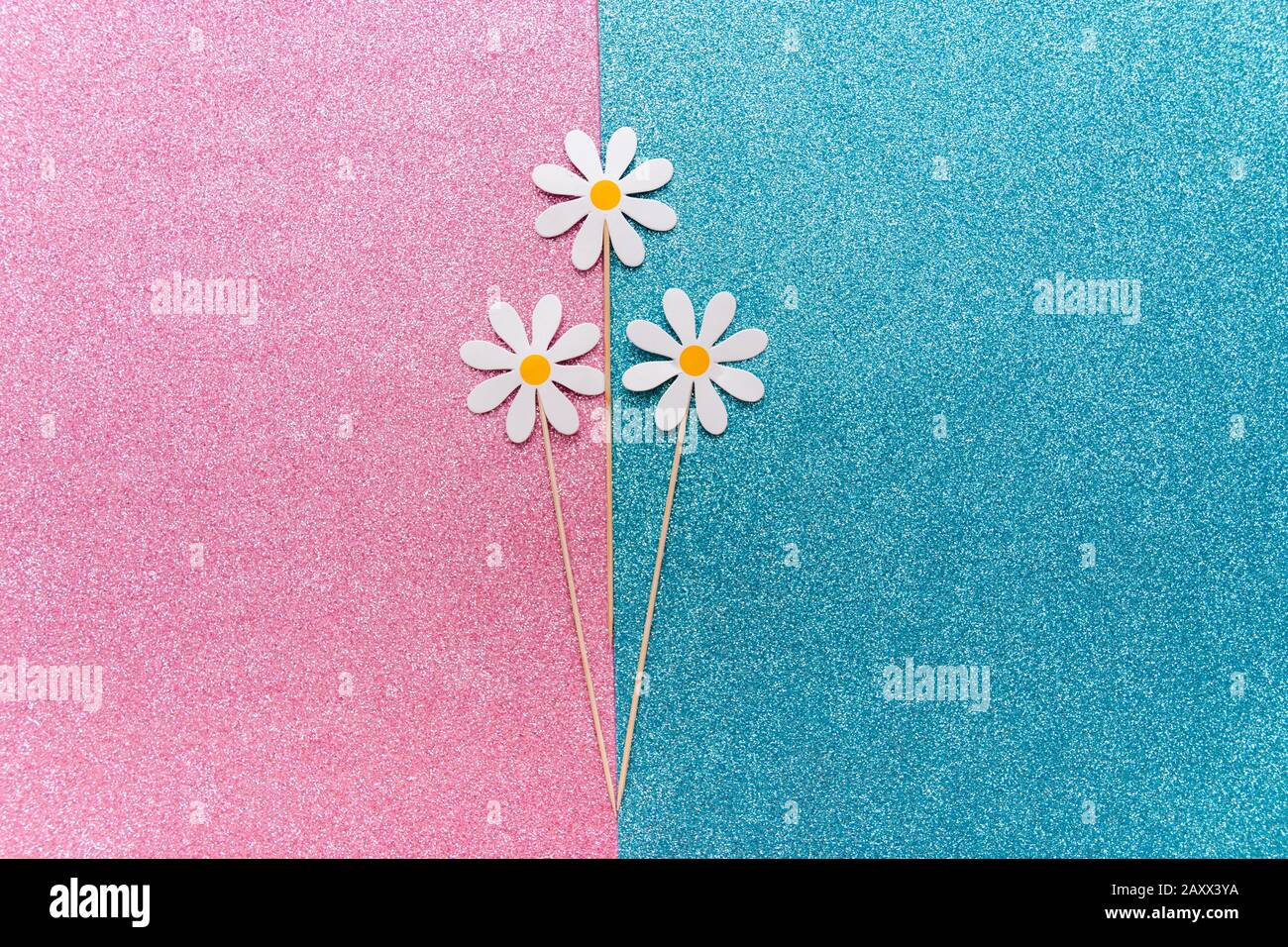 Spring congratulations and a Daisy on a pink and blue Brilliant ...