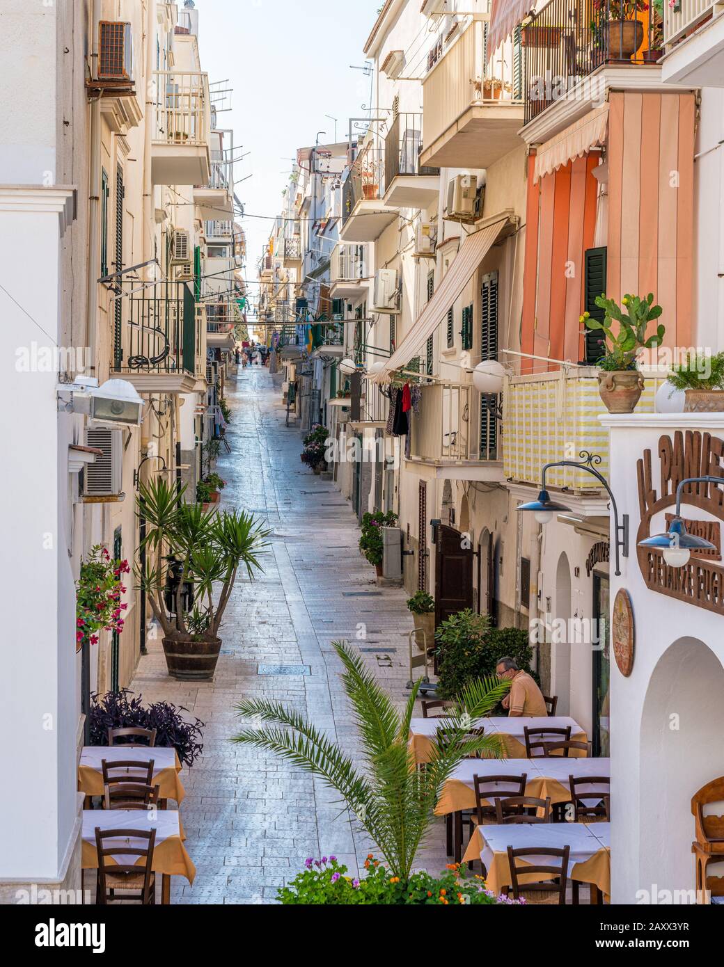 Scenic summer sight in Vieste, Province of Foggia, Puglia (Apulia ...