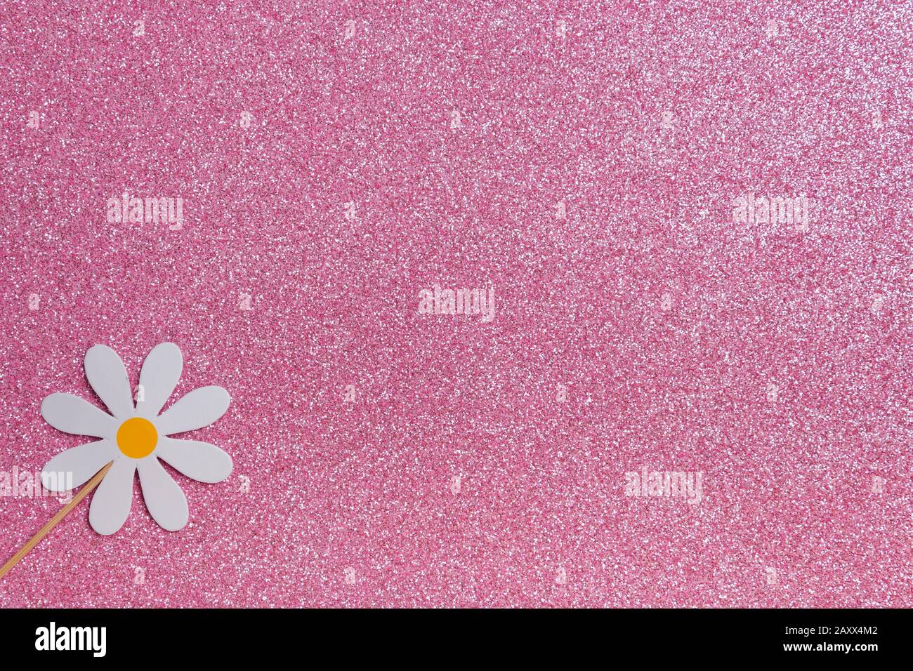 congratulations and a Daisy on a pink Brilliant background. mockup ...