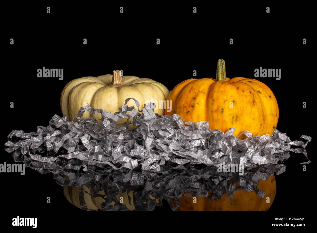 Group of two whole beautiful decorative gourd with gray crepe paper ...