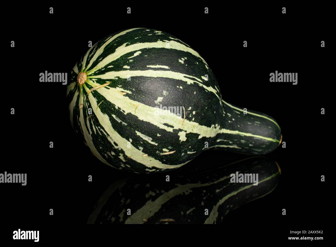 One whole striped beautiful decorative gourd isolated on black glass ...