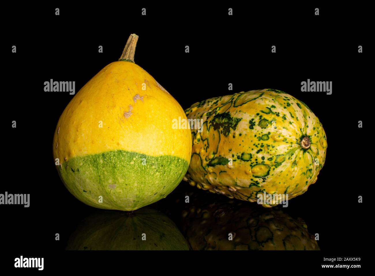 Group of two whole fresh beautiful decorative gourd isolated on black ...