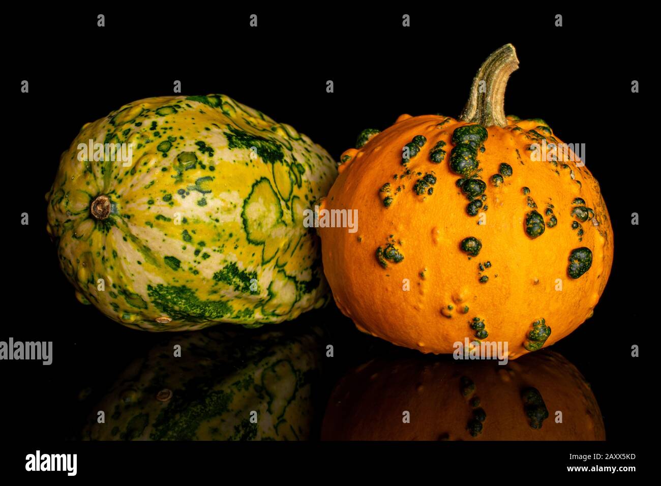 Group of two whole beautiful decorative gourd isolated on black glass ...