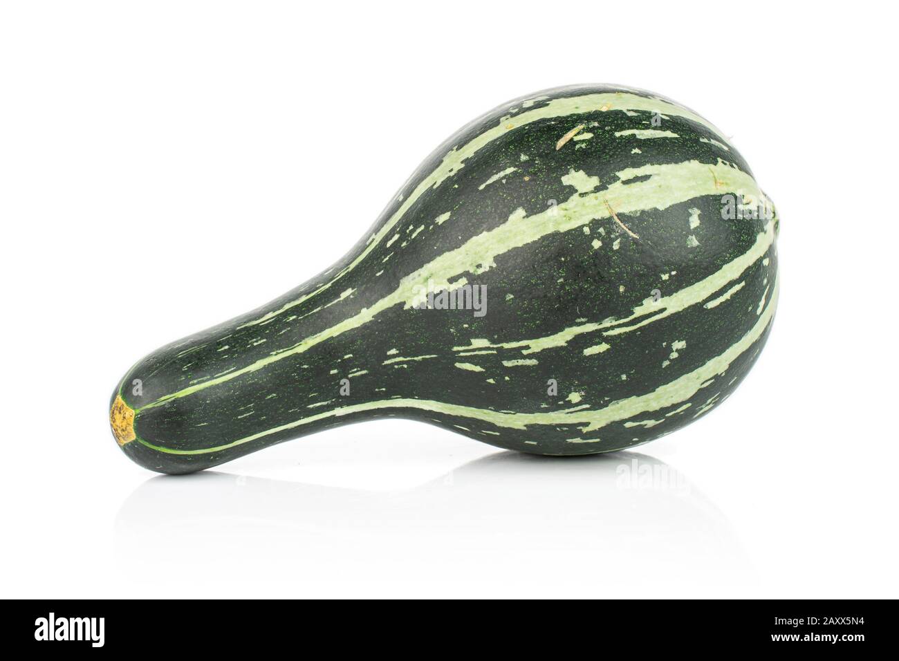One whole beautiful decorative gourd isolated on white background Stock ...