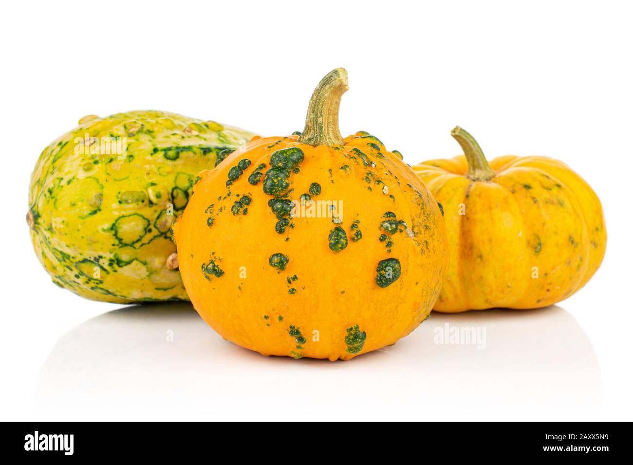 Group of three whole beautiful decorative gourd isolated on white ...