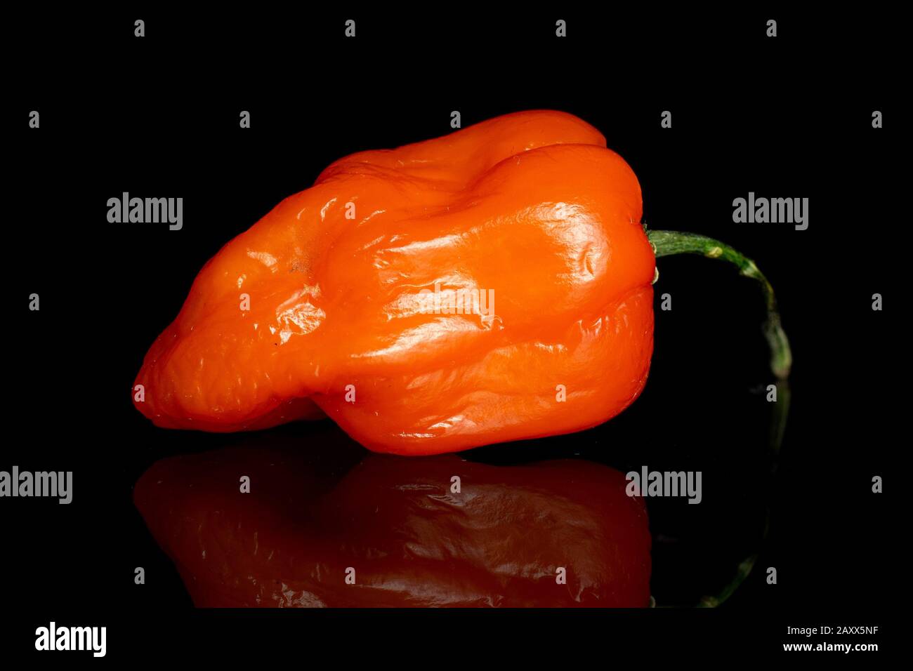 One whole orange hot chili pepper isolated on black glass Stock Photo ...