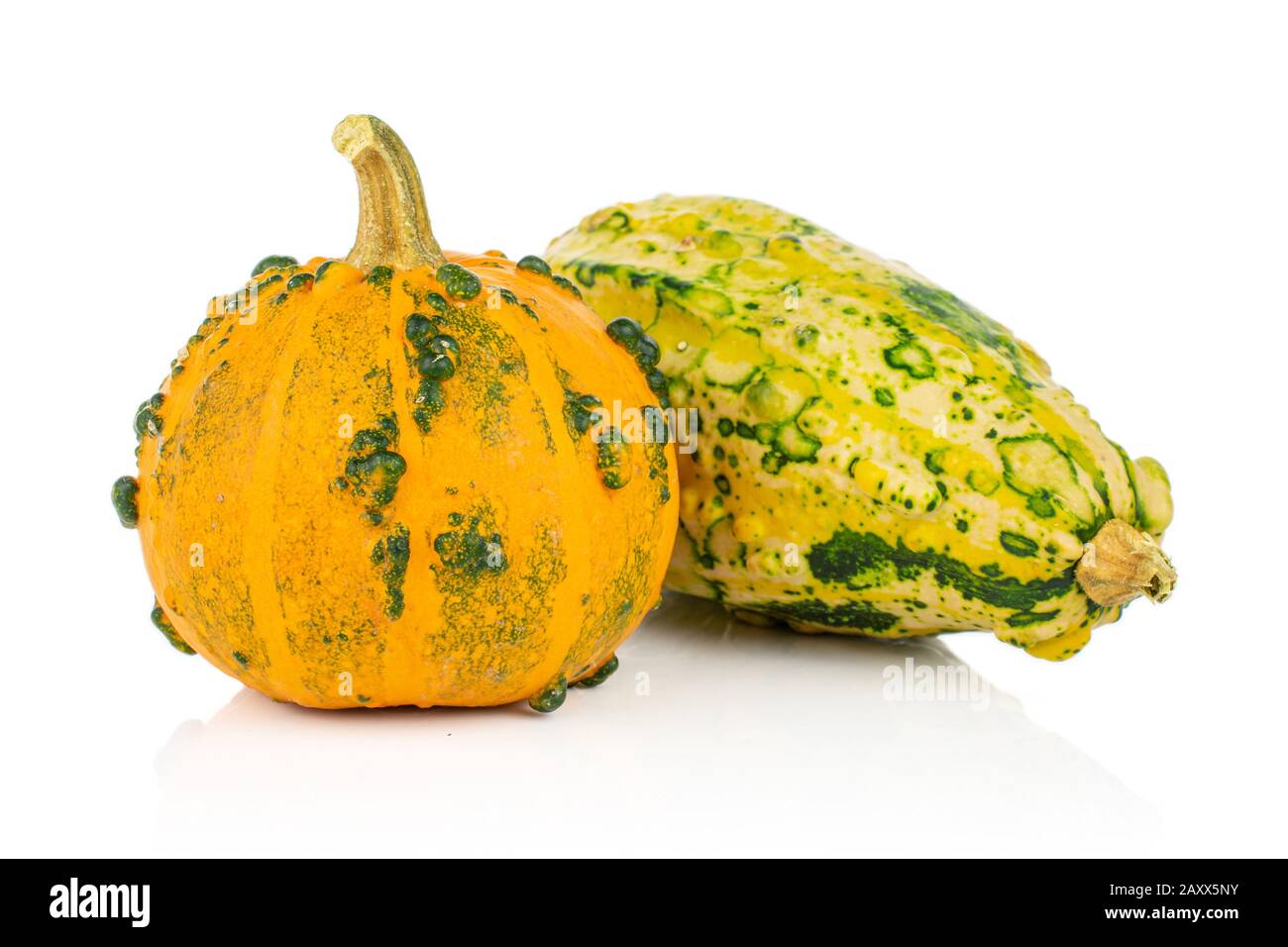 Group of two whole fresh beautiful decorative gourd isolated on white ...