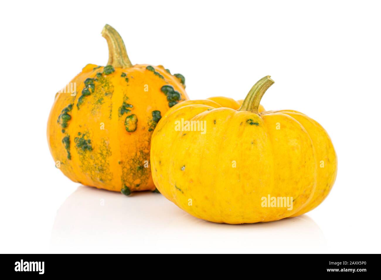 Group of two whole beautiful decorative gourd isolated on white ...