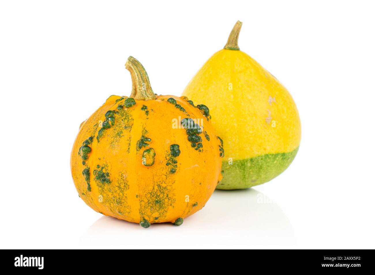 Group of two whole beautiful decorative gourd isolated on white ...