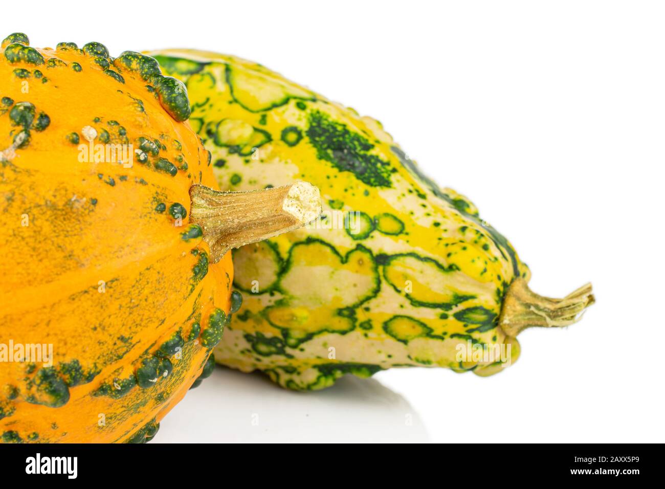 Group of two whole beautiful decorative gourd closeup isolated on white ...