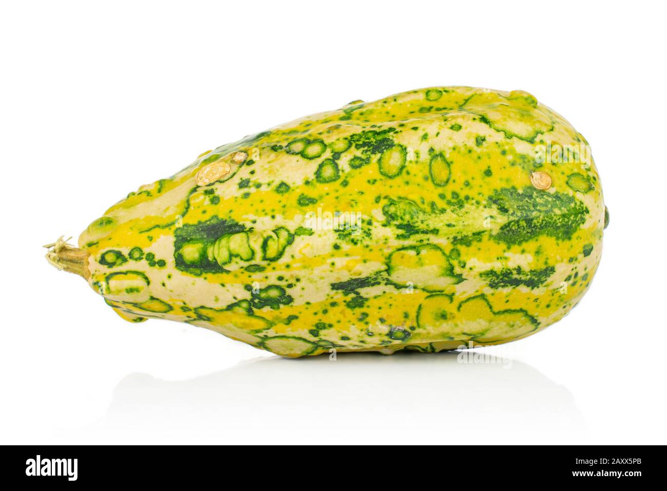 One whole beautiful decorative gourd isolated on white background Stock ...