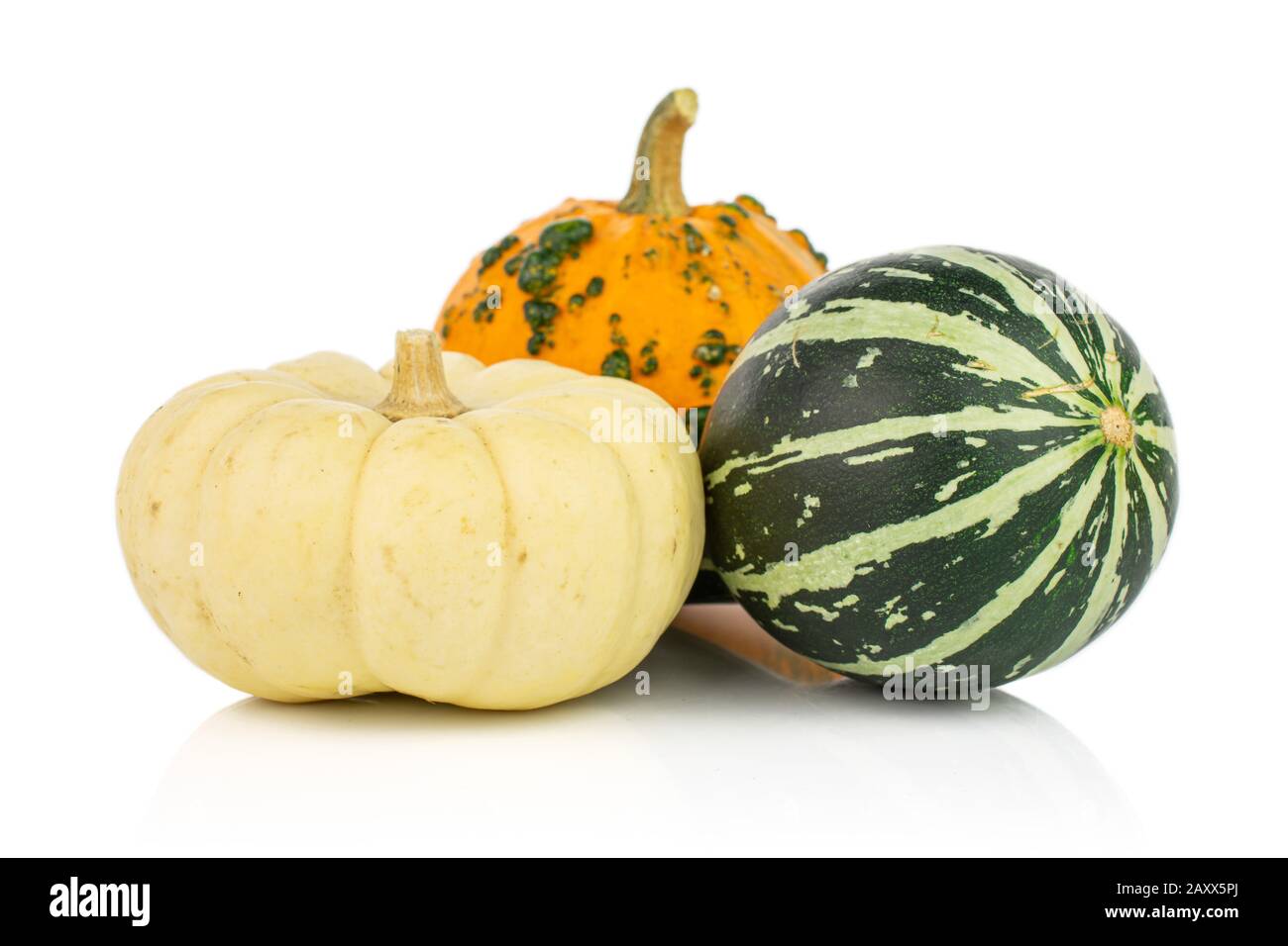 Group of three whole beautiful decorative gourd isolated on white ...