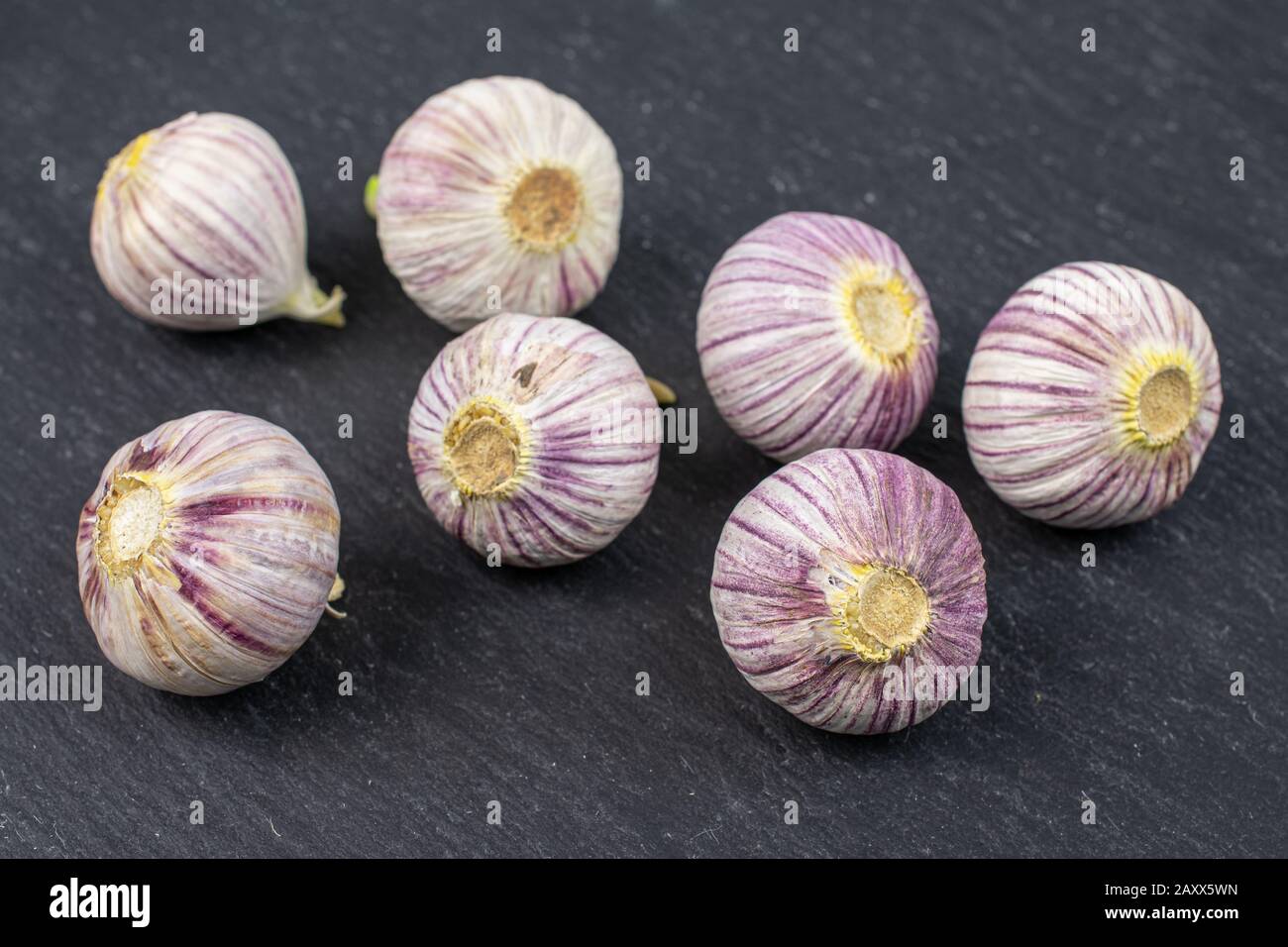 Group of seven whole fresh purple single clove garlic on grey stone ...