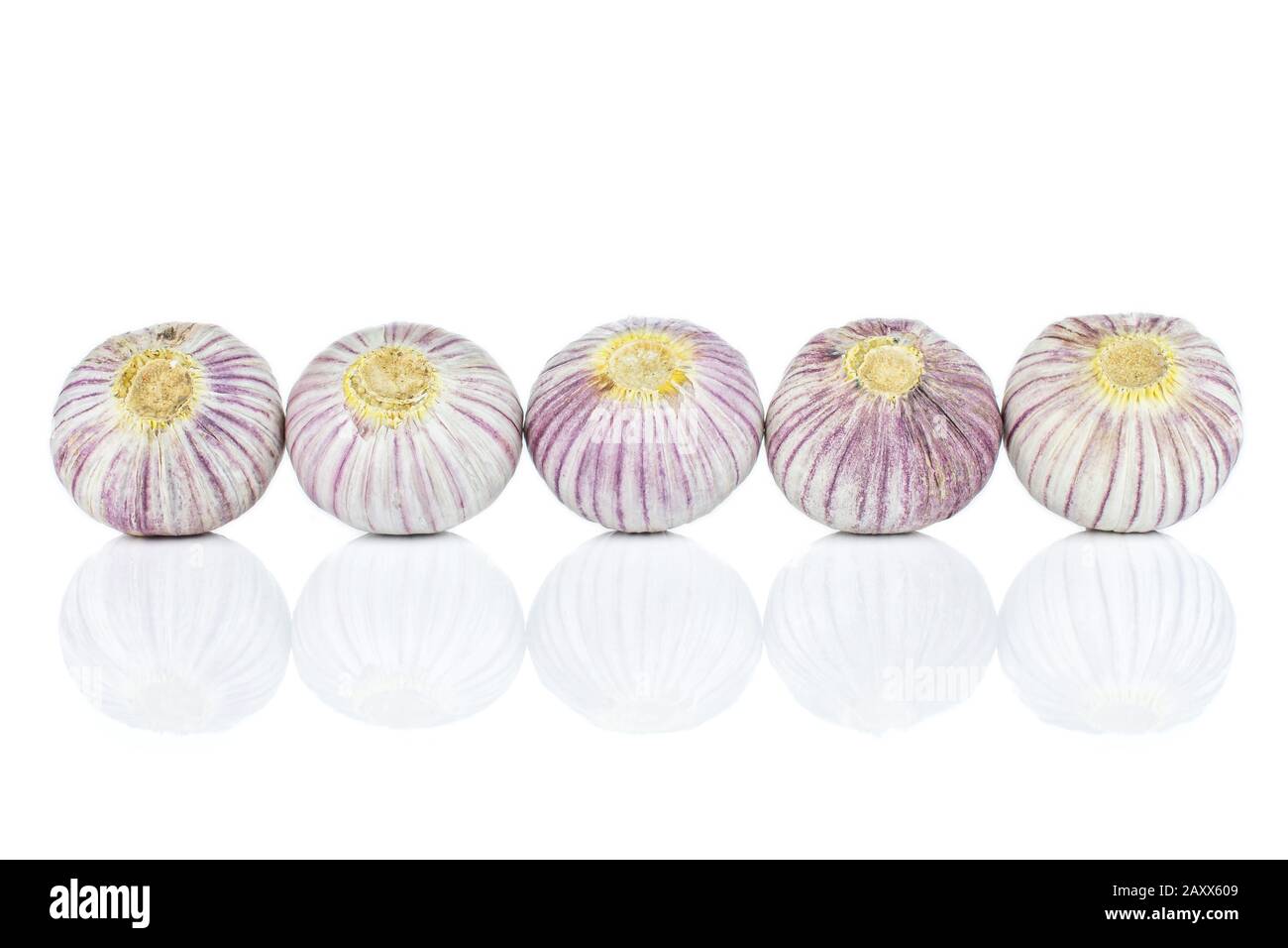 Group of five whole fresh purple single clove garlic line isolated on ...