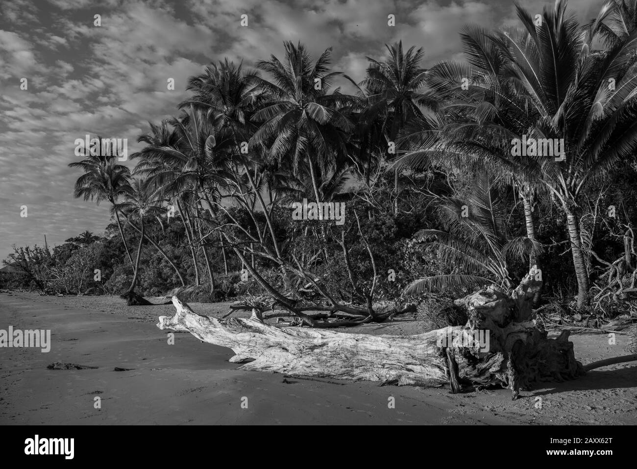 4 mile road Black and White Stock Photos & Images - Alamy