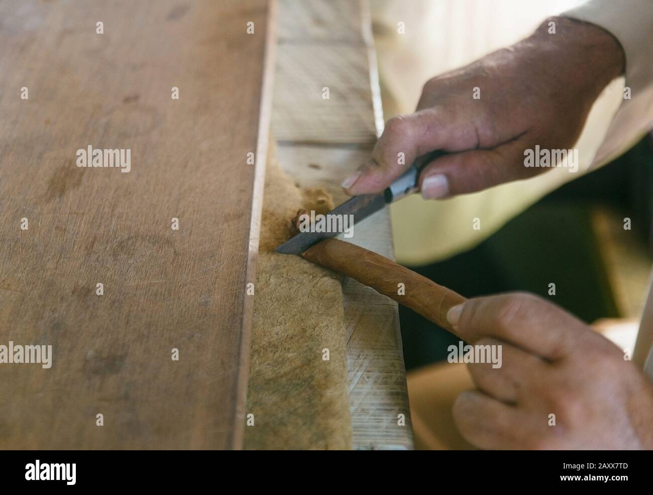 Cuban man hand making cigars hi-res stock photography and images - Alamy
