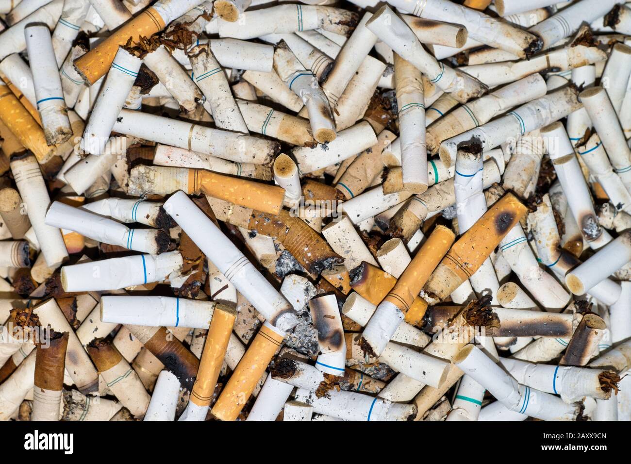 Discarded cigarette butts close up in an ashtray. Full frame image ...