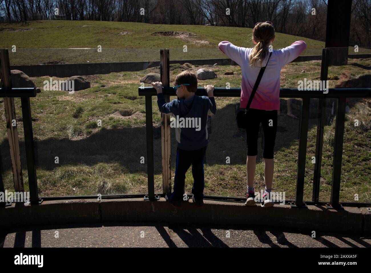 children observing prairie dogs at zoo Stock Photo - Alamy