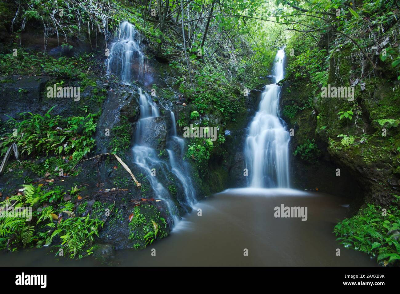 Waipio valley waterfall hi-res stock photography and images - Alamy