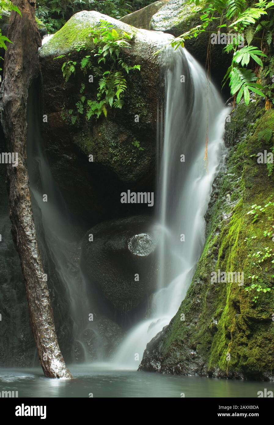 Wili waterfall hi-res stock photography and images - Alamy