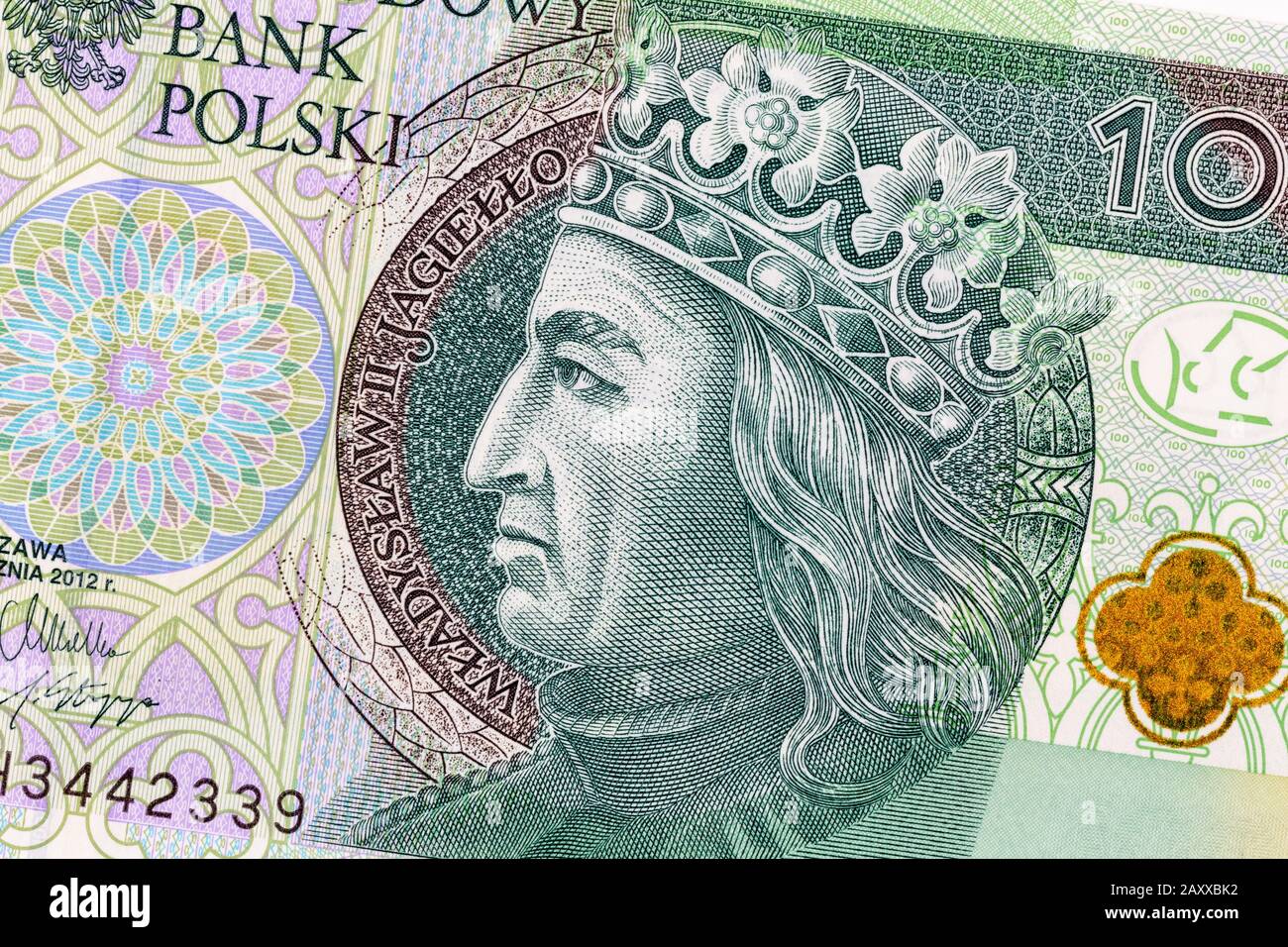 Polish currency money bill one hundred zloty. Macro crop portrait of ...