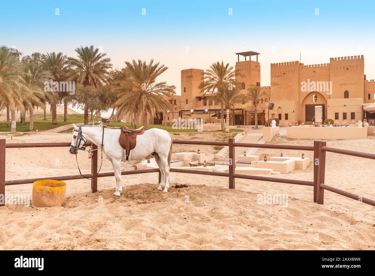 Stall with thoroughbred Arab horses near an ancient village in the ...