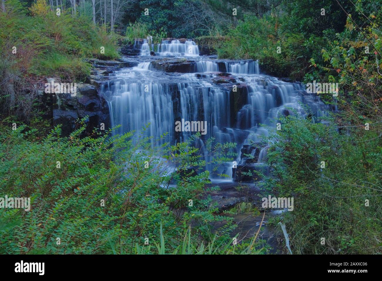Hidden Waterfall behind foliage Stock Photo - Alamy