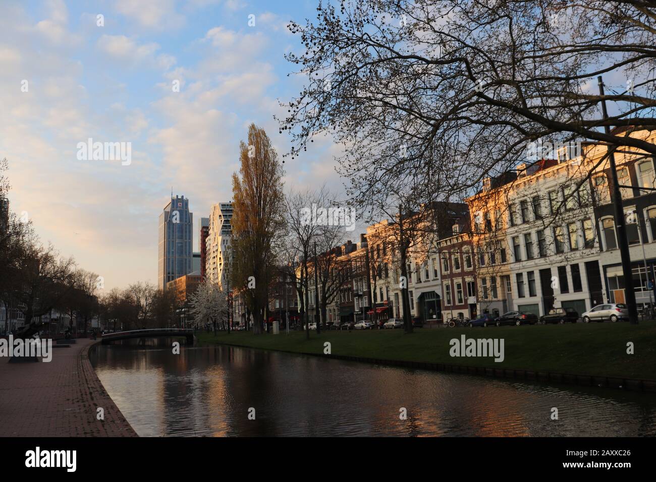 Evening time in the one of the most beautiful streets in Rotterdam. In ...