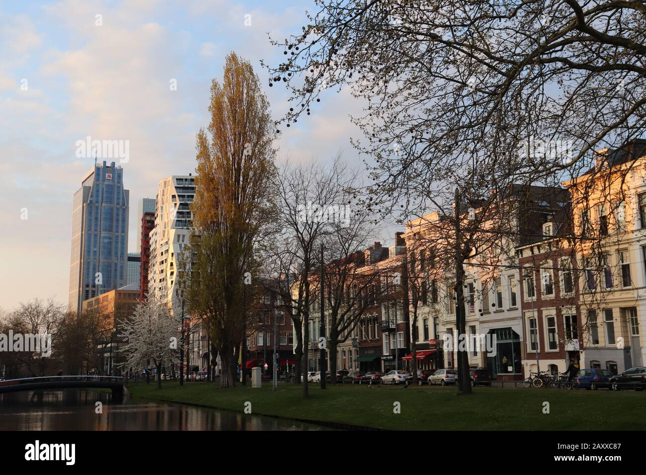 Evening time in the one of the most beautiful streets in Rotterdam. In ...