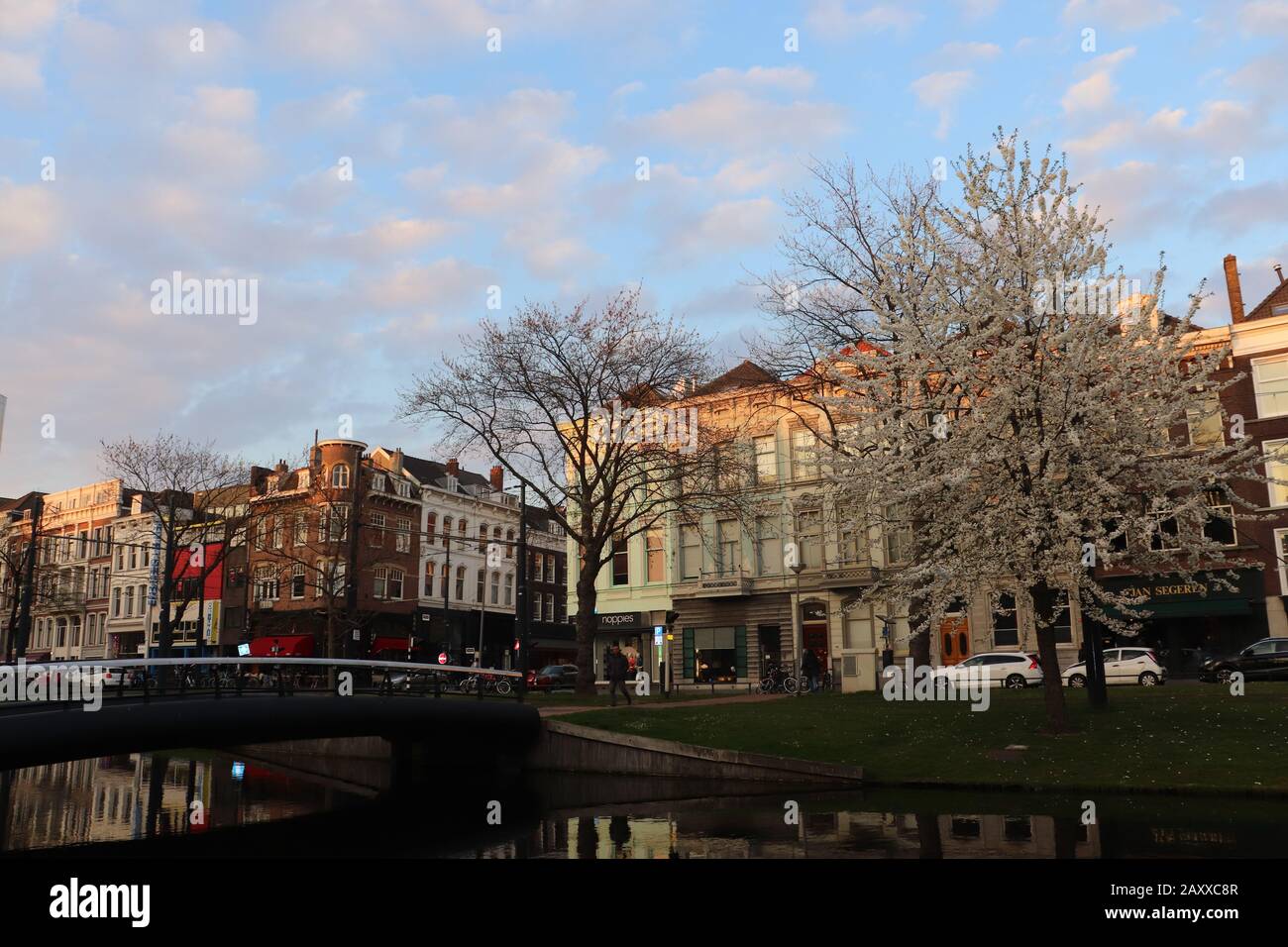 Evening time in the one of the most beautiful streets in Rotterdam. In ...
