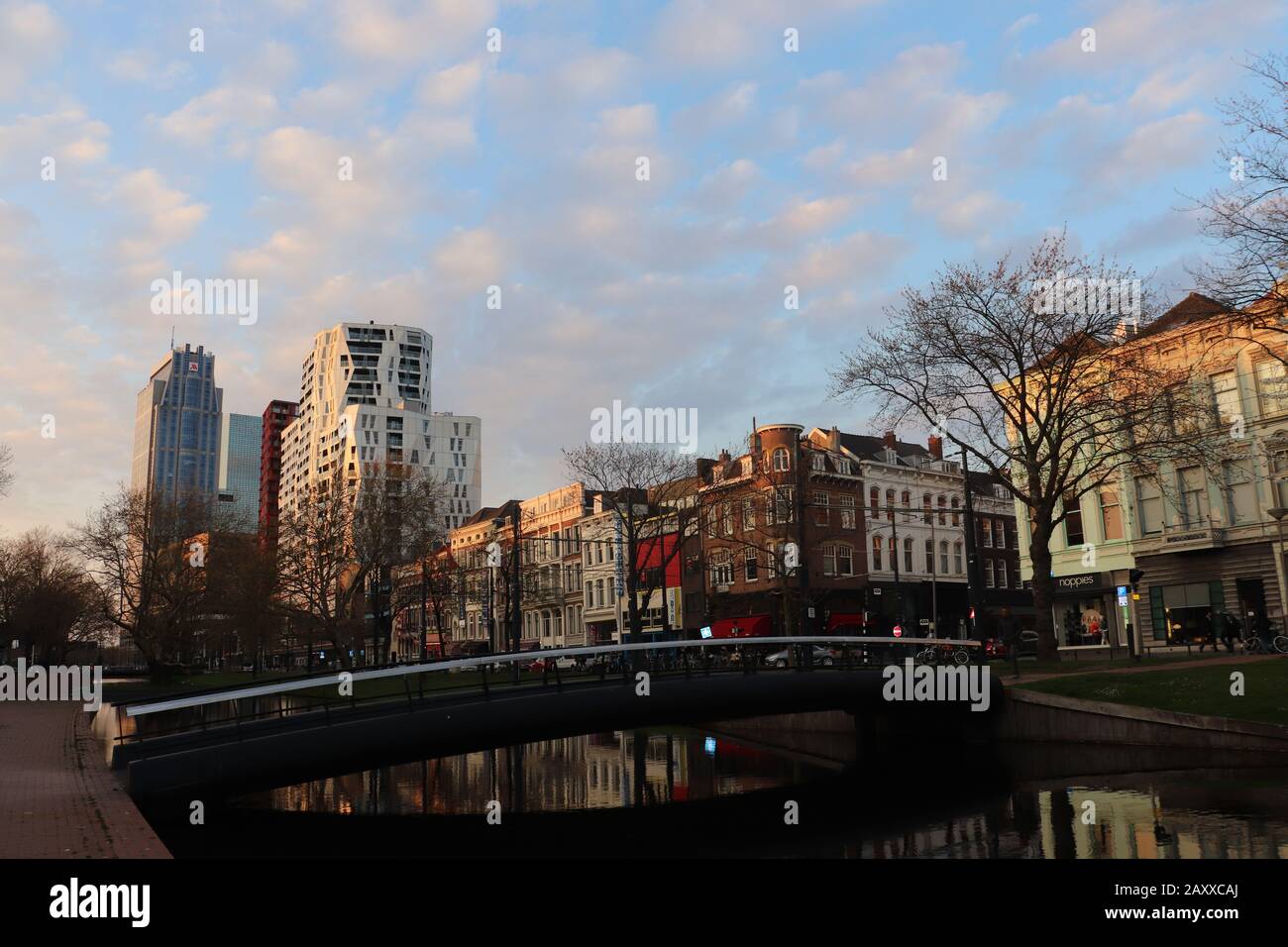 Evening time in the one of the most beautiful streets in Rotterdam. In ...